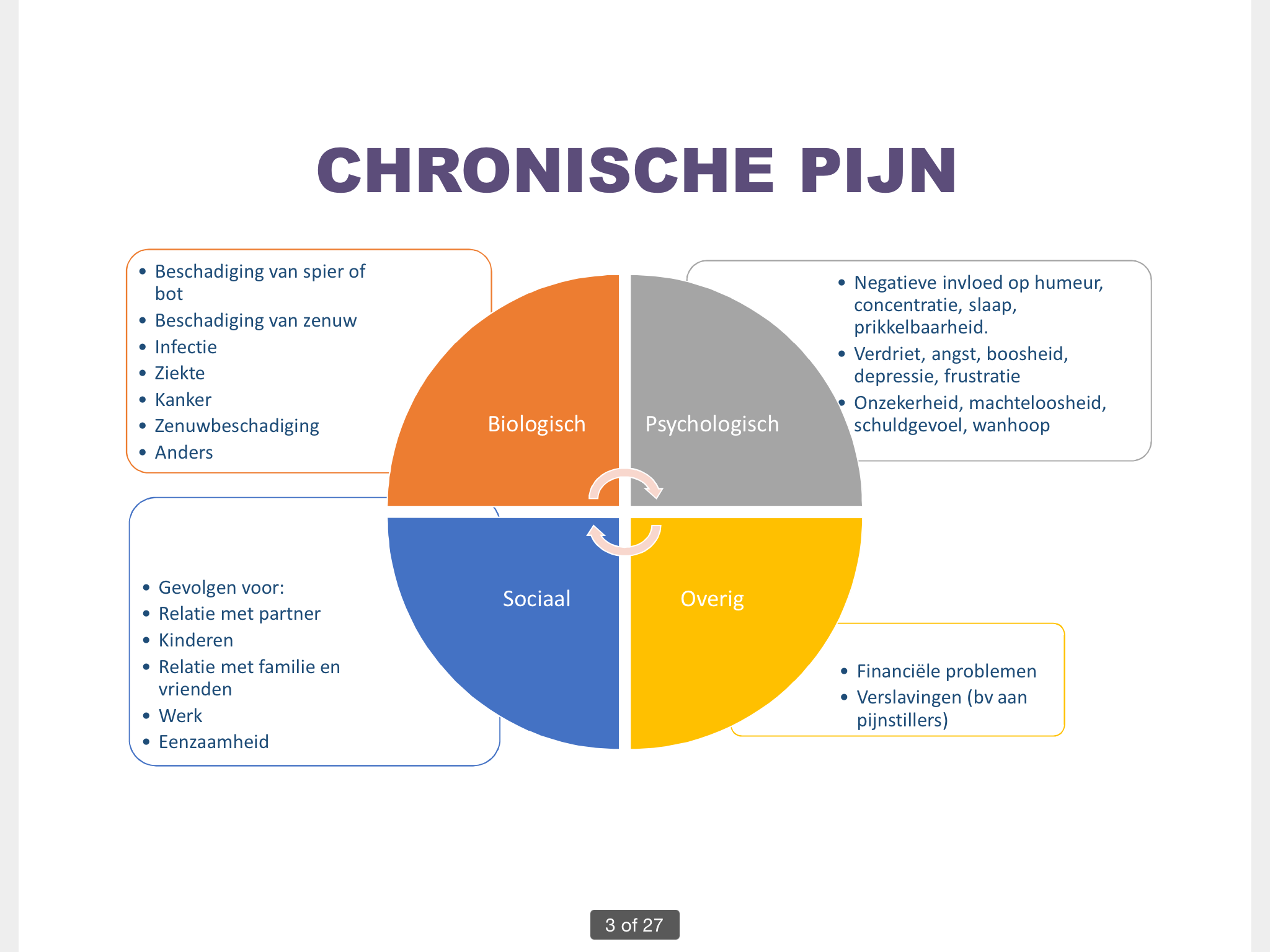 Wat is chronische pijn - Anna Raymann